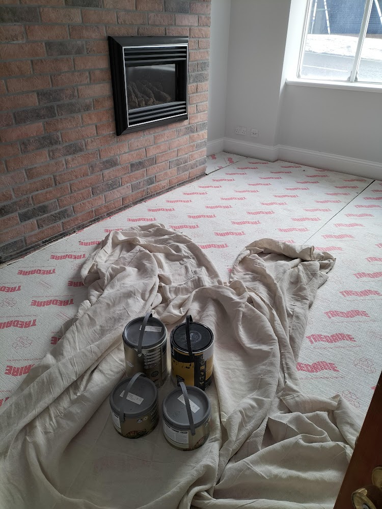 Library – painted and carpeted – 63 Claypath